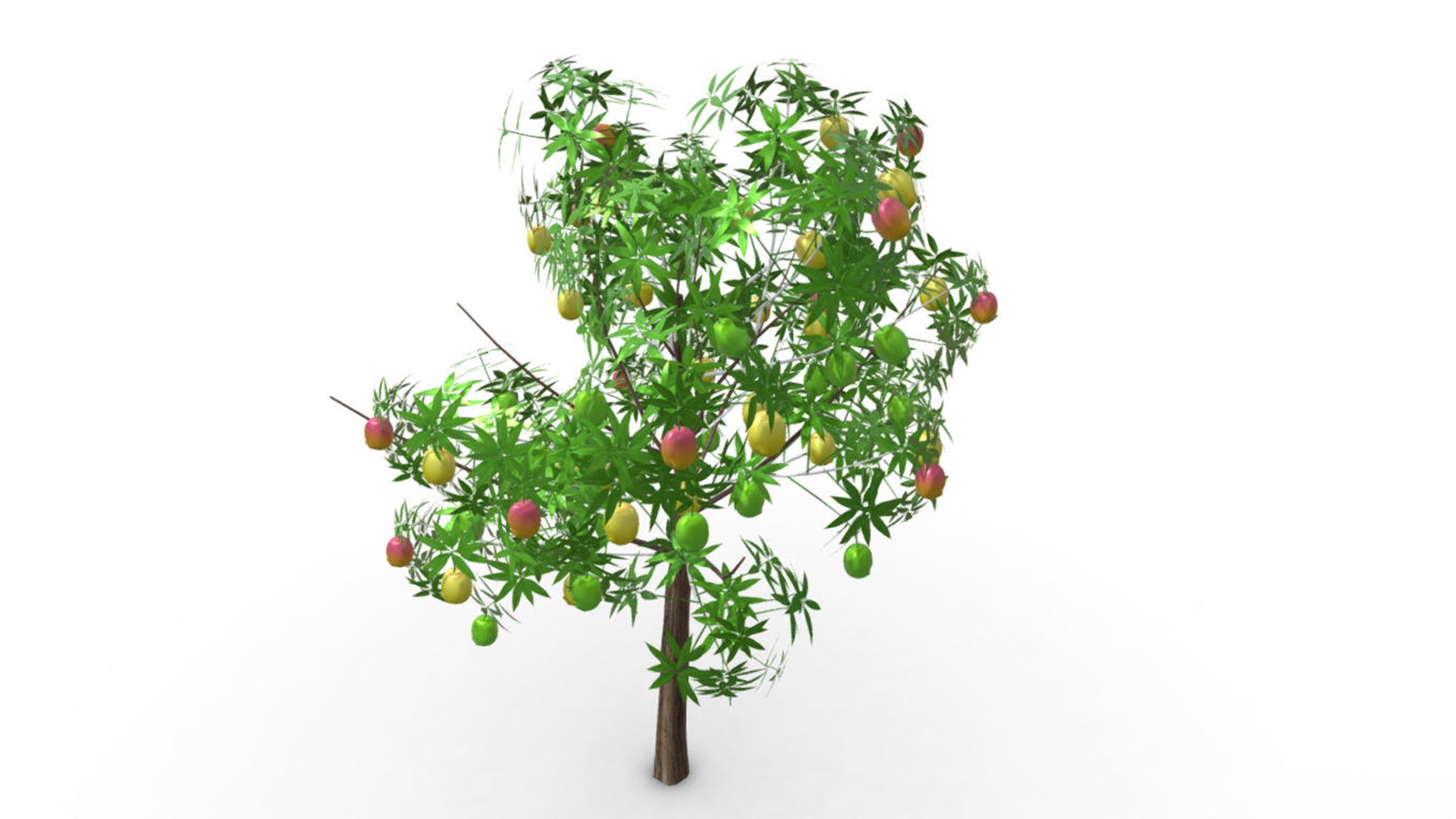 Mango Tree Model - TurboSquid 2240578