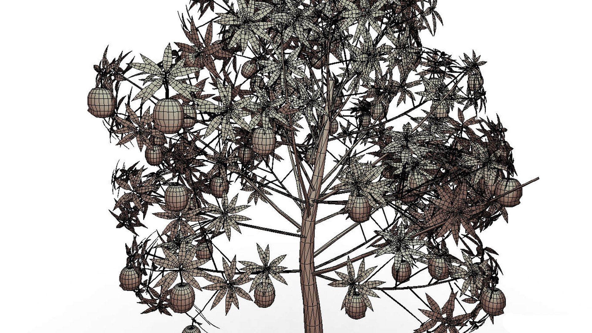 Mango Tree Model - TurboSquid 2240578