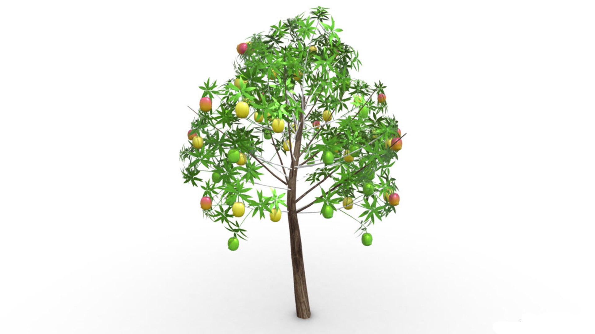 Mango Tree Model - TurboSquid 2240578