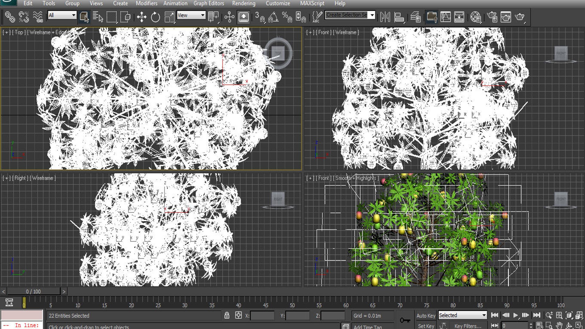 Mango Tree Model - TurboSquid 2240578