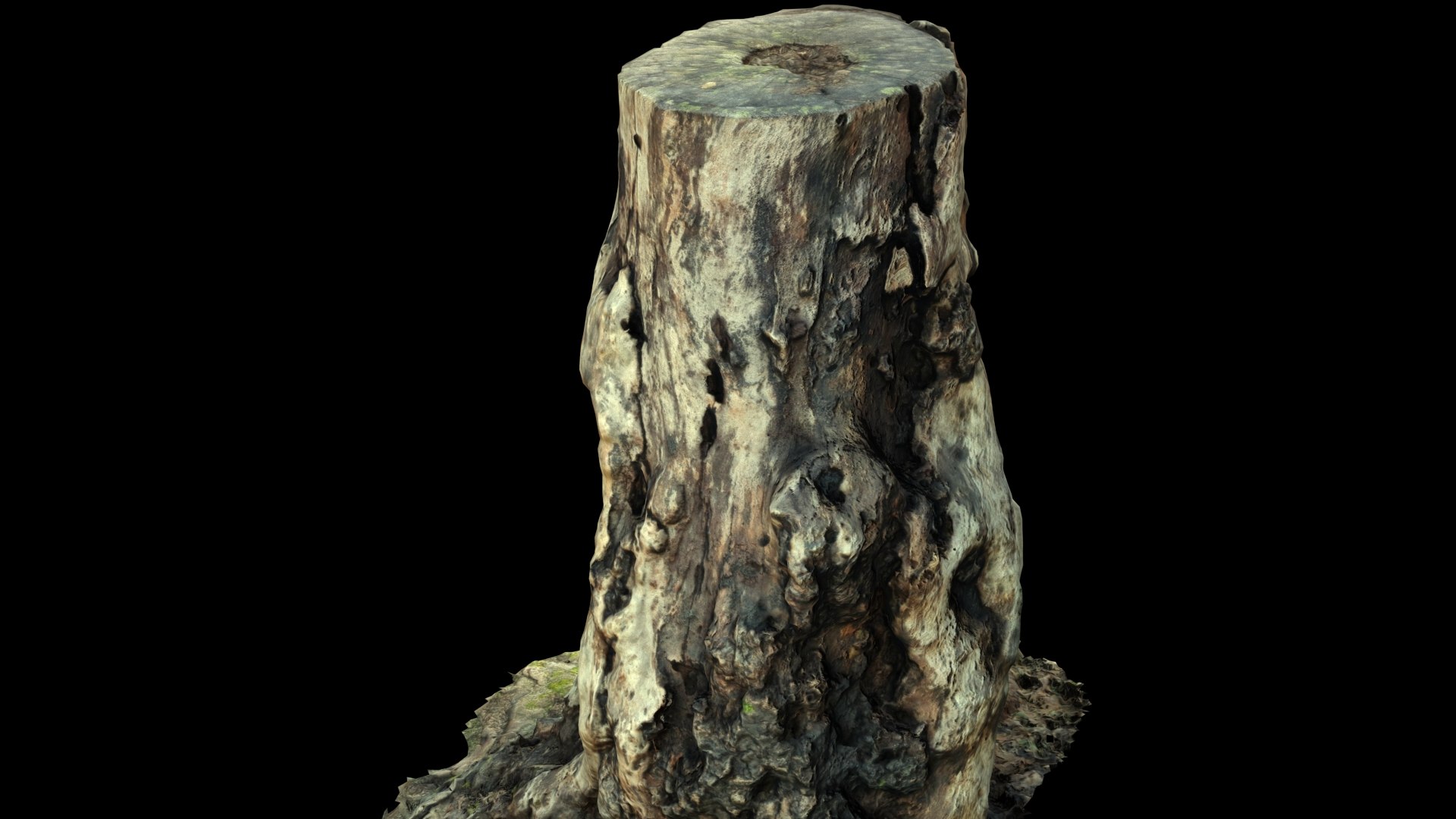 3D STUMP Model - TurboSquid 1733805