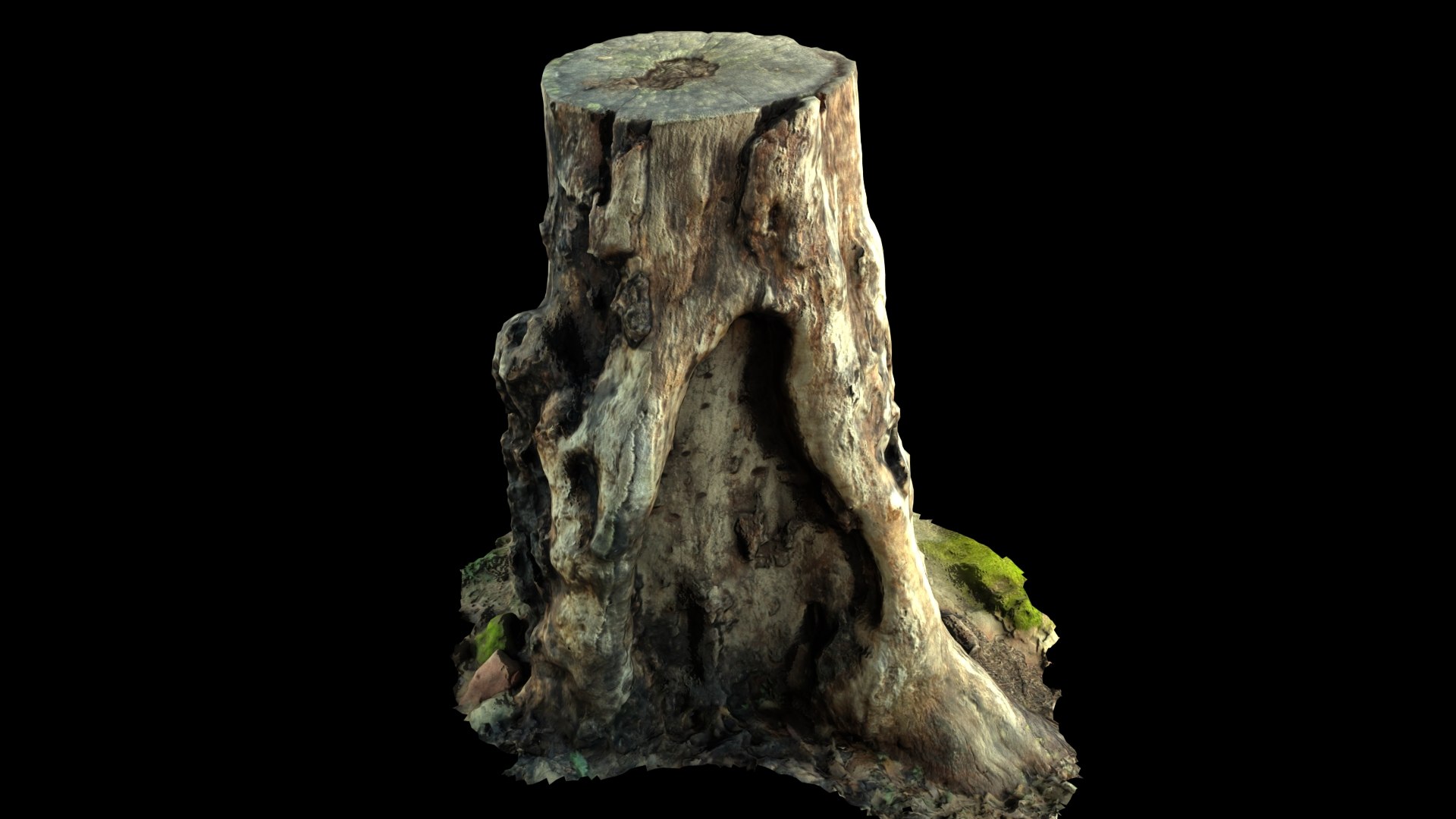 3D STUMP Model - TurboSquid 1733805