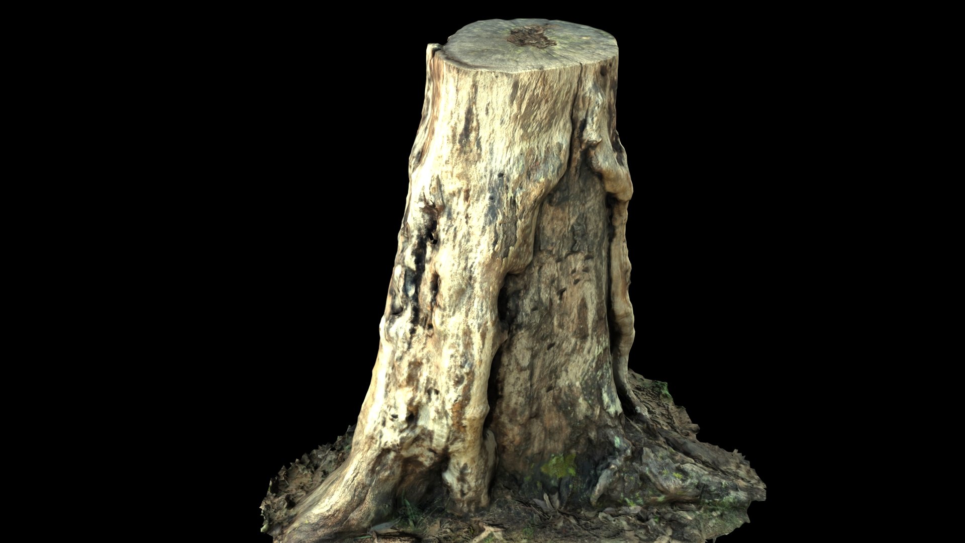 3D STUMP Model - TurboSquid 1733805