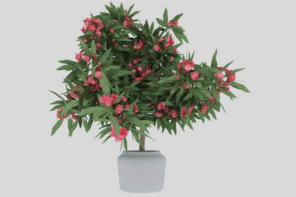 Flowering tree 3D model - TurboSquid 1199627