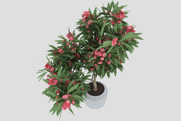 Flowering tree 3D model - TurboSquid 1199627