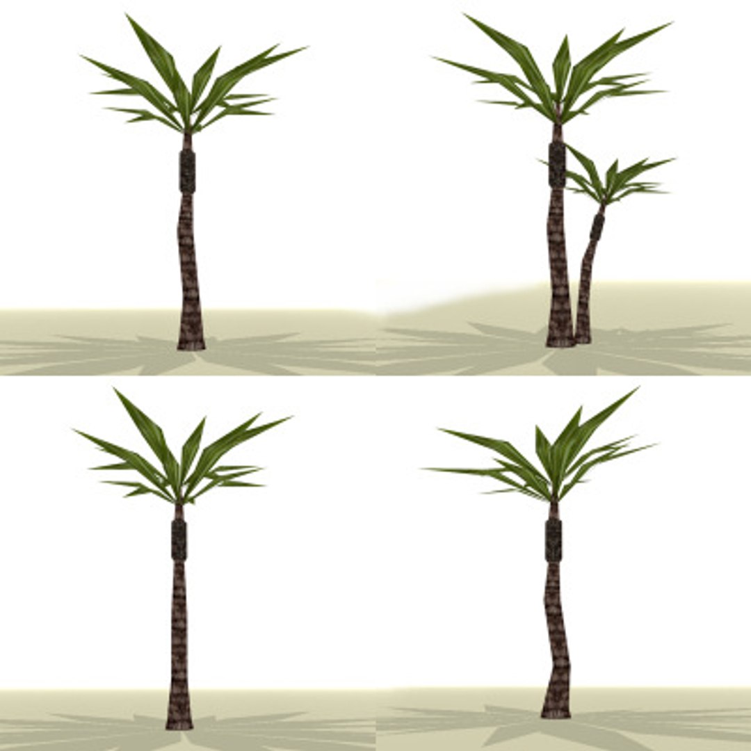 3d 3 packet trees model