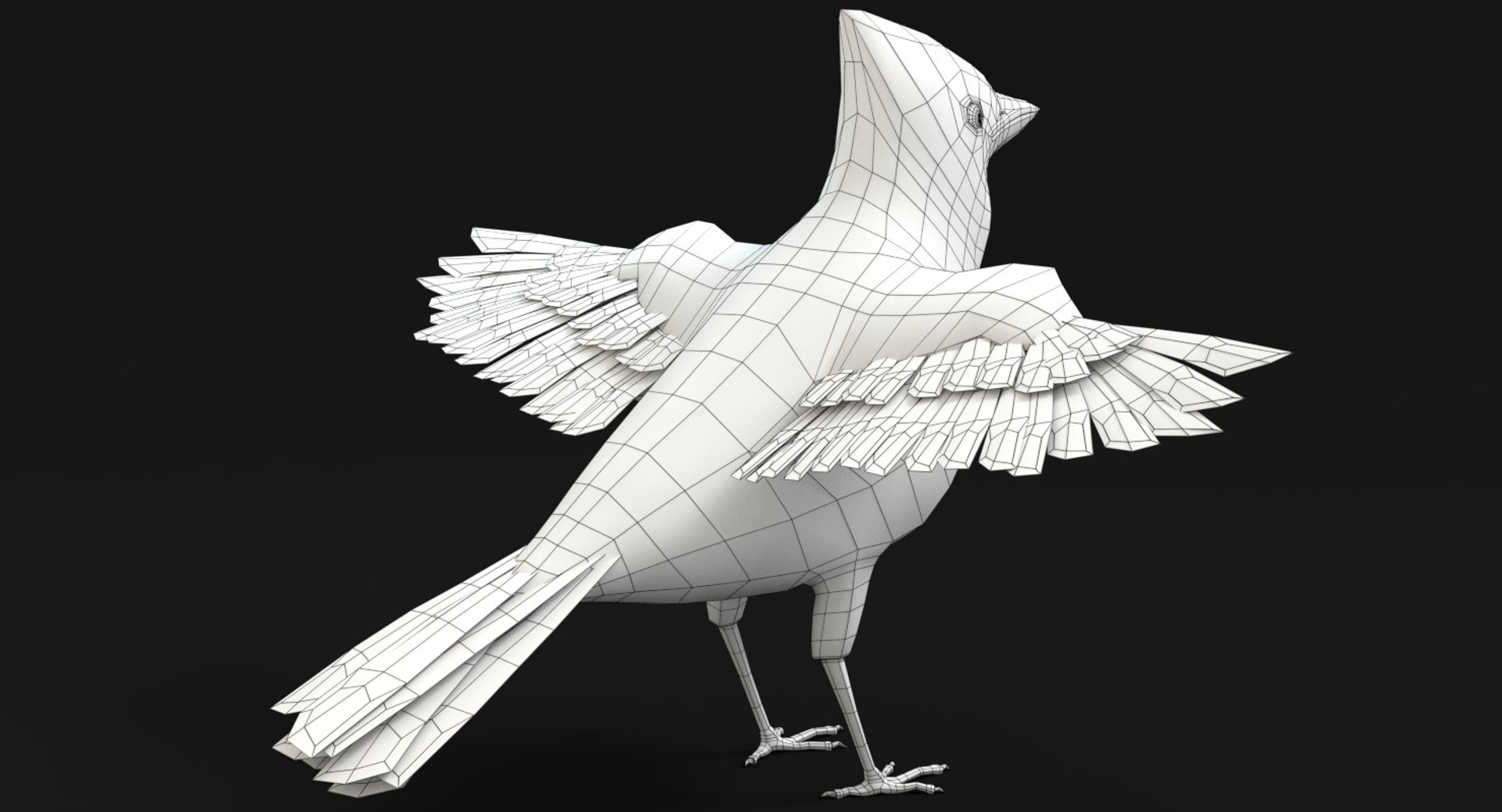Cardinal Model - TurboSquid 1207897