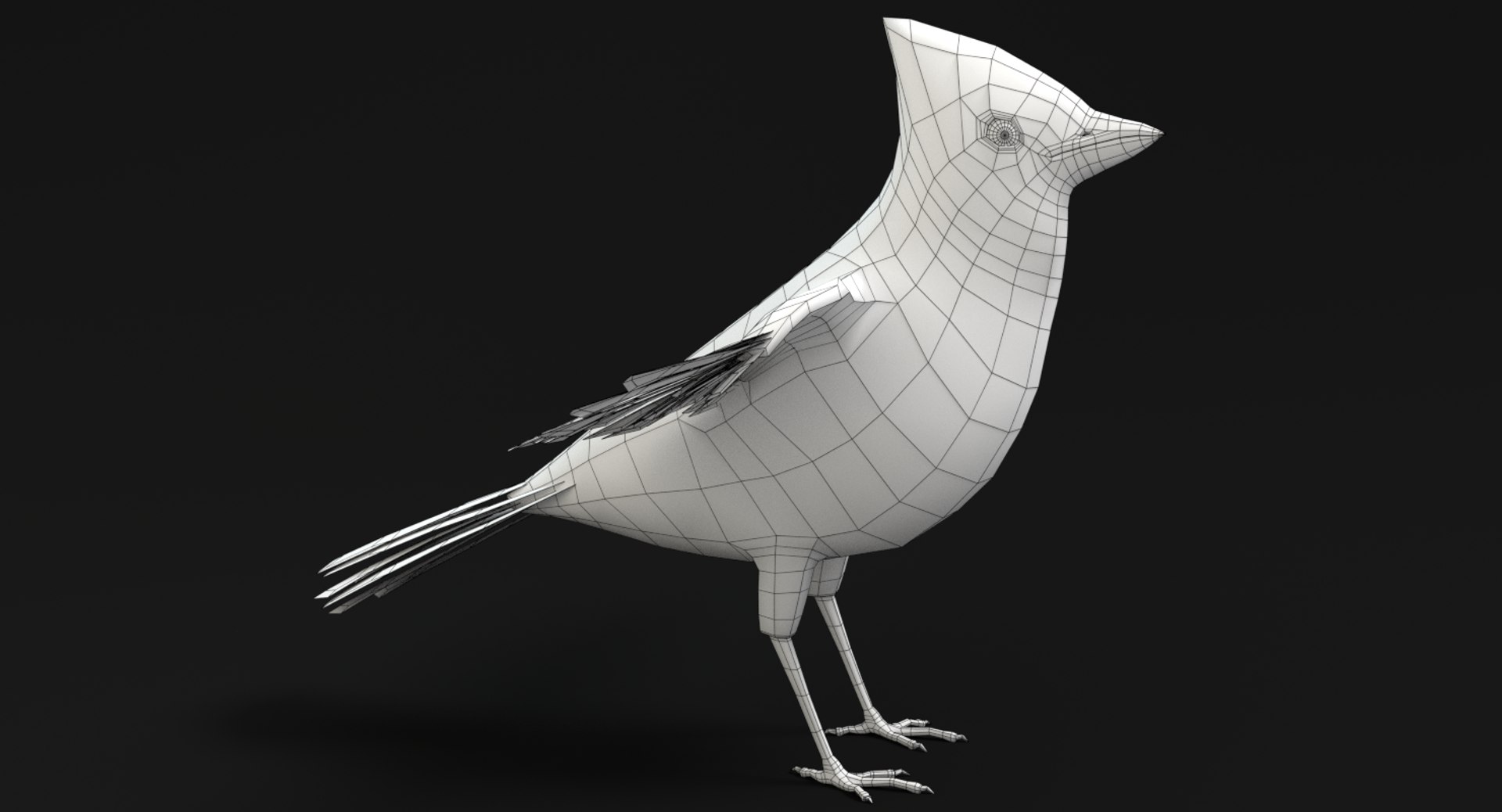 Cardinal Model - TurboSquid 1207897