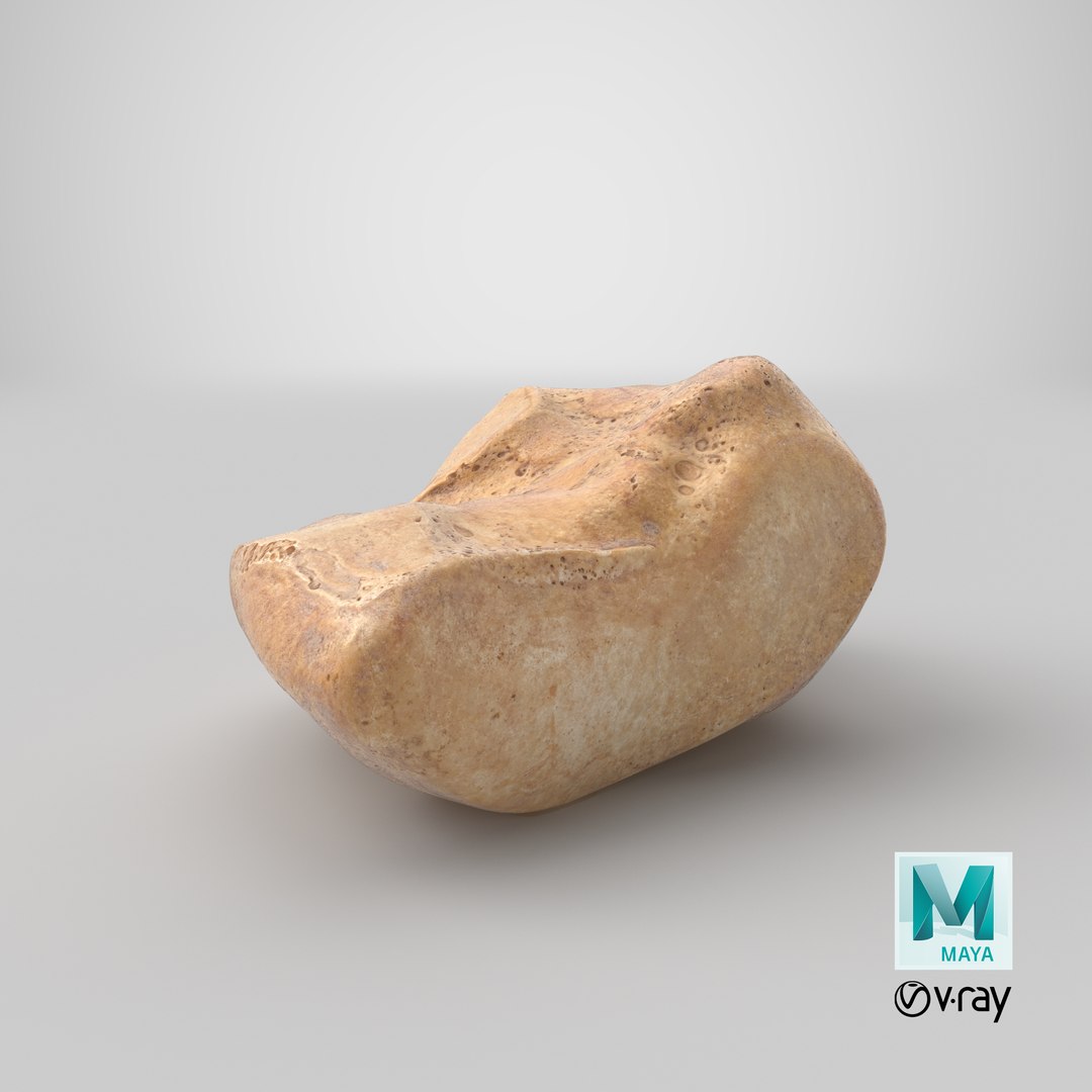 3D Cuneiform Bone Medial 01 - TurboSquid 1503294