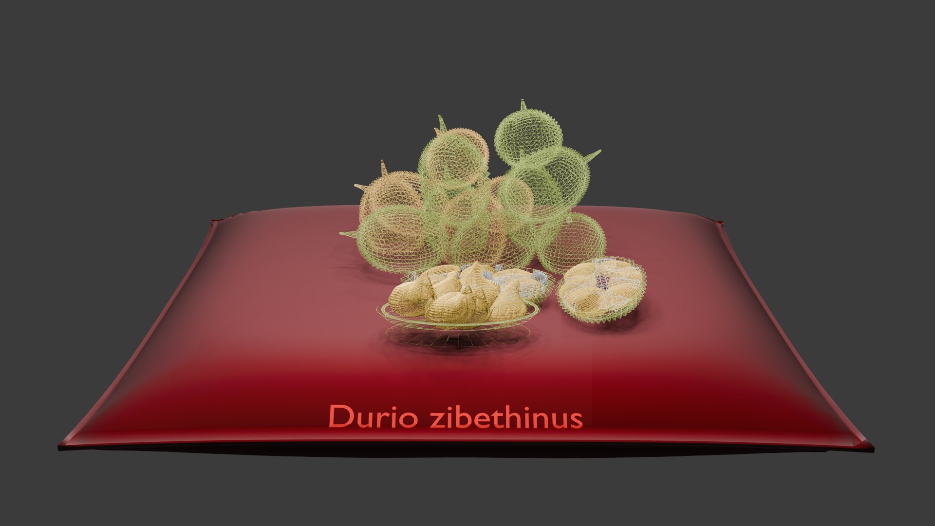 3D Model Durian - TurboSquid 2297877