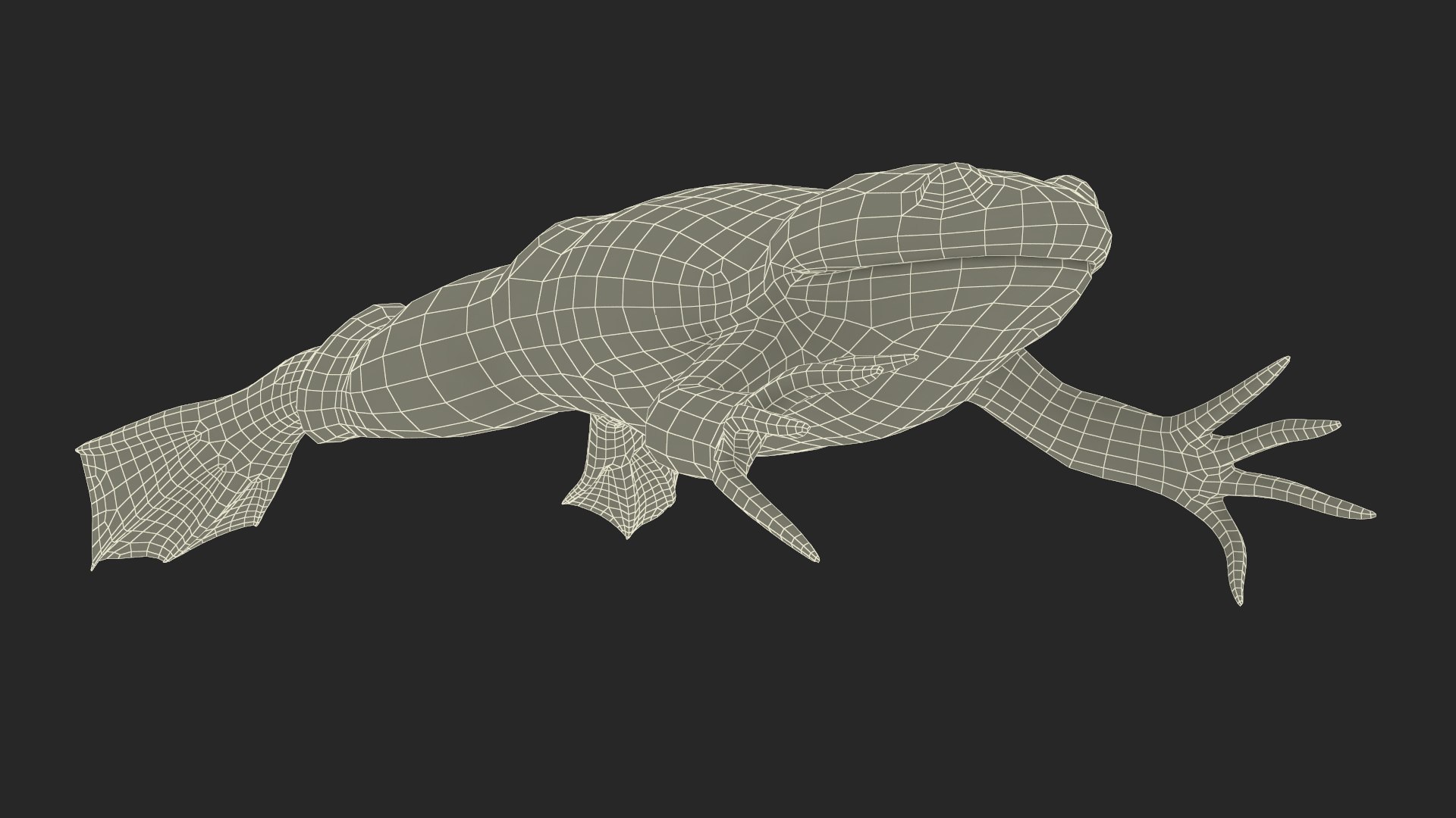 3D Xenopus African Clawed Toad Jump Pose - TurboSquid 2133621