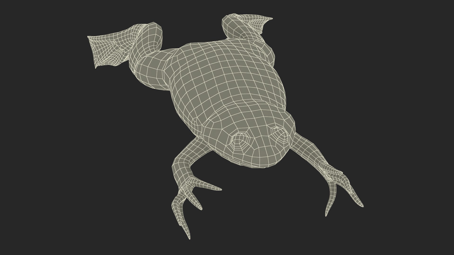 3D Xenopus African Clawed Toad Jump Pose - TurboSquid 2133621