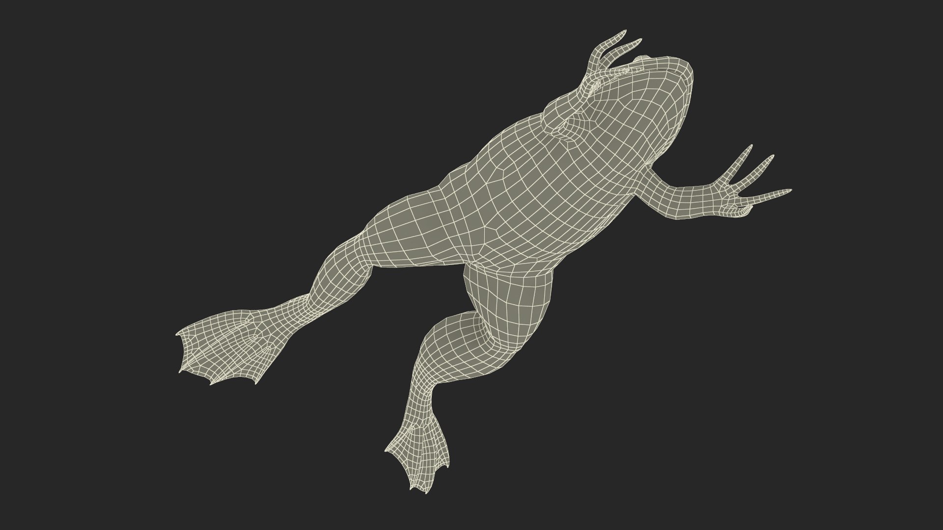 3D Xenopus African Clawed Toad Jump Pose - TurboSquid 2133621