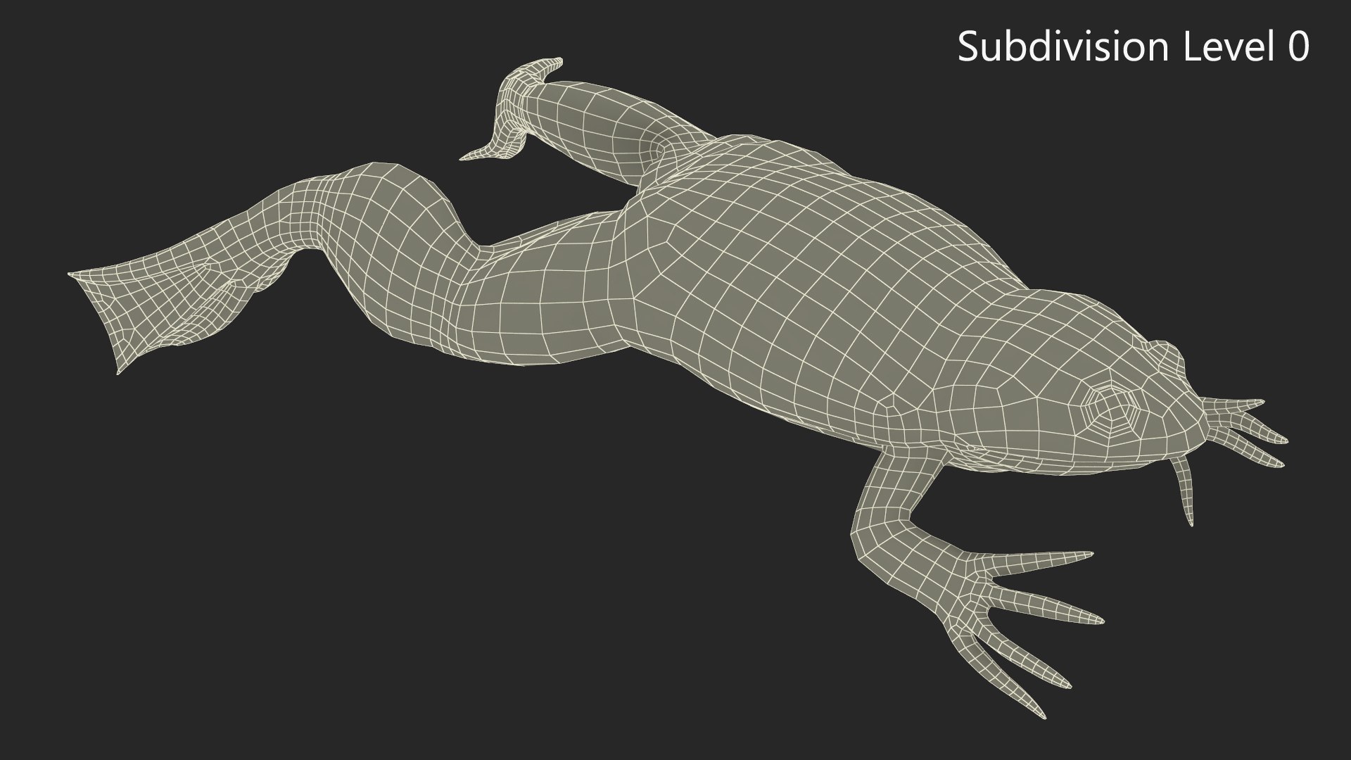 3D Xenopus African Clawed Toad Jump Pose - TurboSquid 2133621