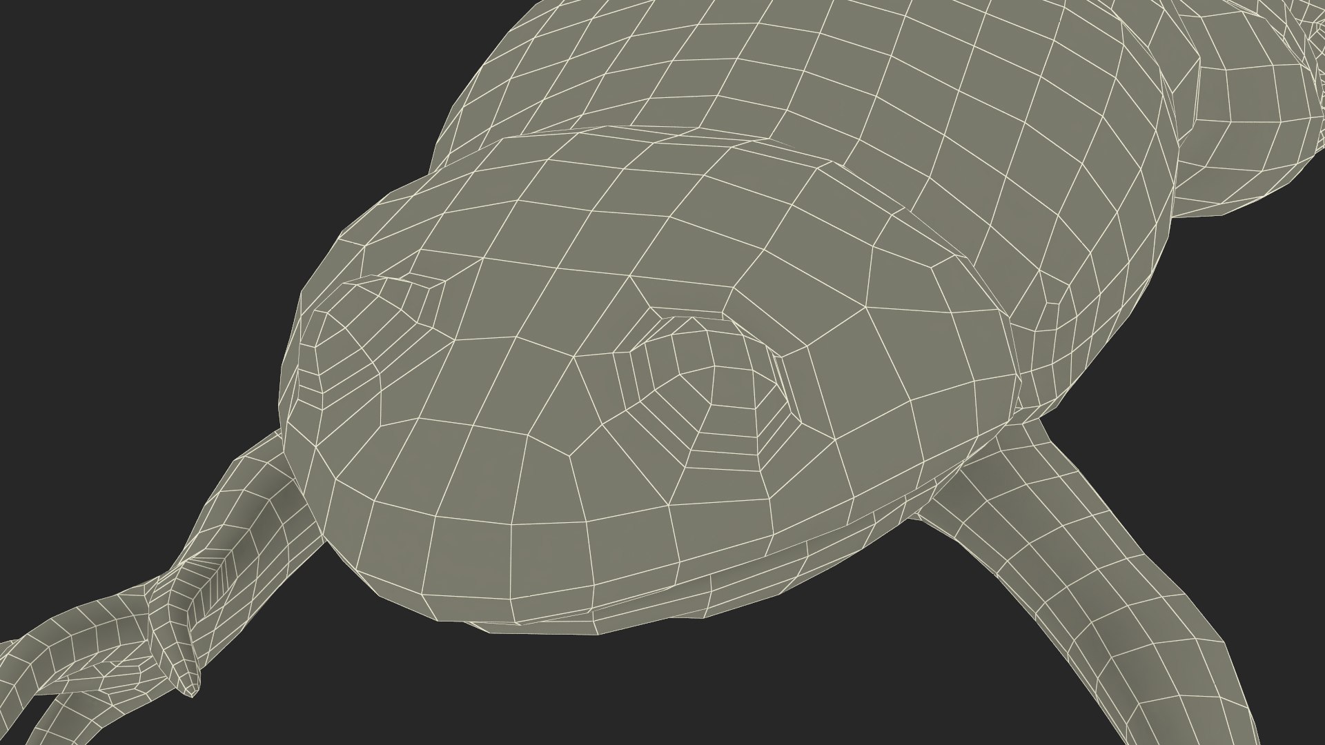 3D Xenopus African Clawed Toad Jump Pose - TurboSquid 2133621