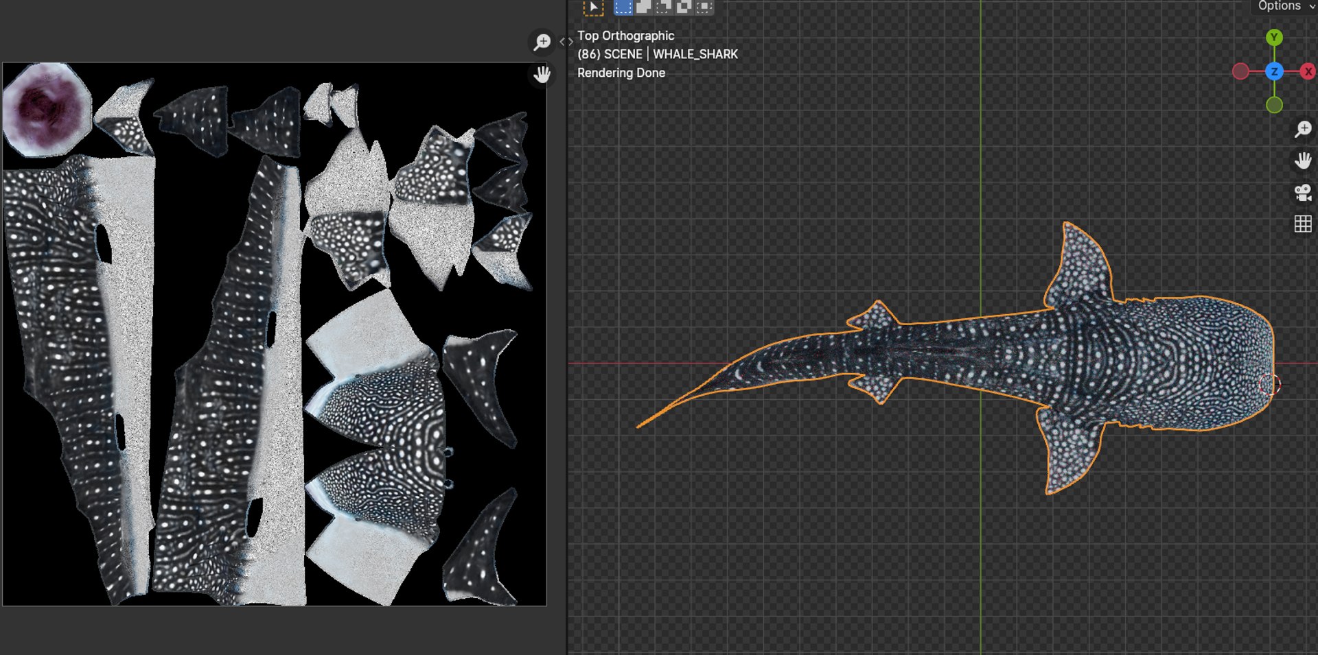 Animated Whale Shark 3D - TurboSquid 2178604