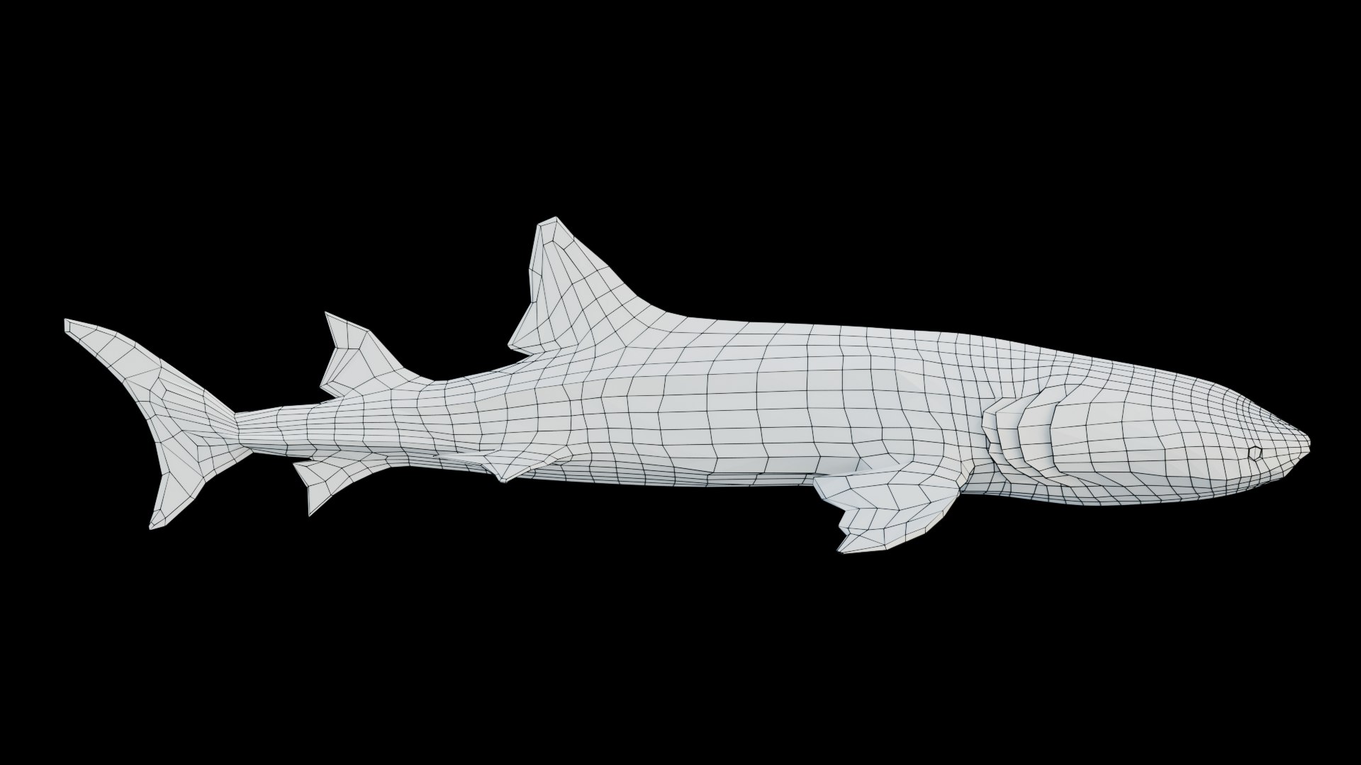 Animated Whale Shark 3D - TurboSquid 2178604