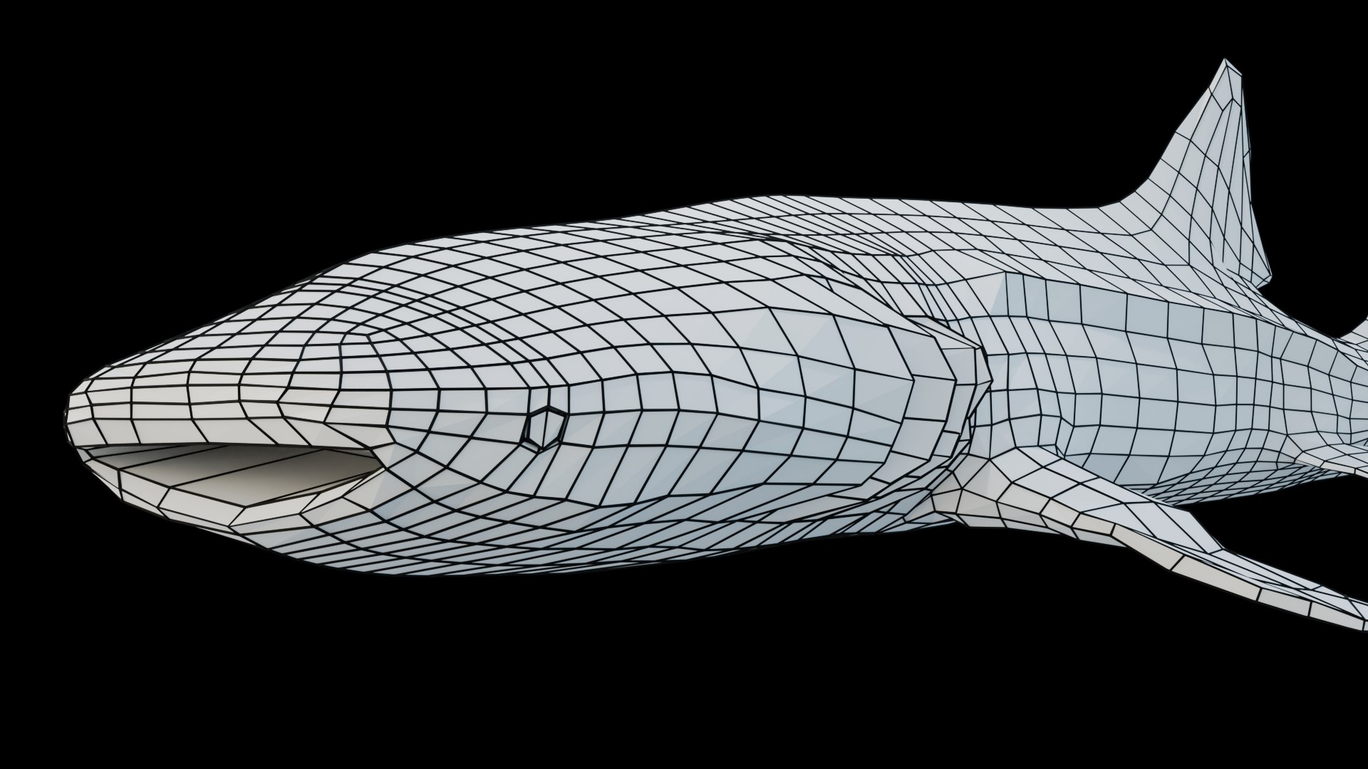 Animated Whale Shark 3D - TurboSquid 2178604