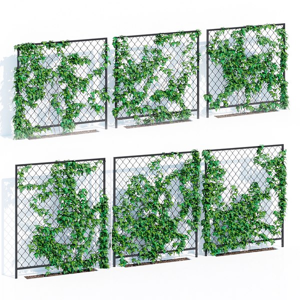 Trellis 3D Models for Download | TurboSquid