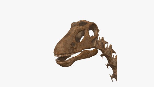 modelo 3d Esqueleto de brontosaurio - TurboSquid 2165641