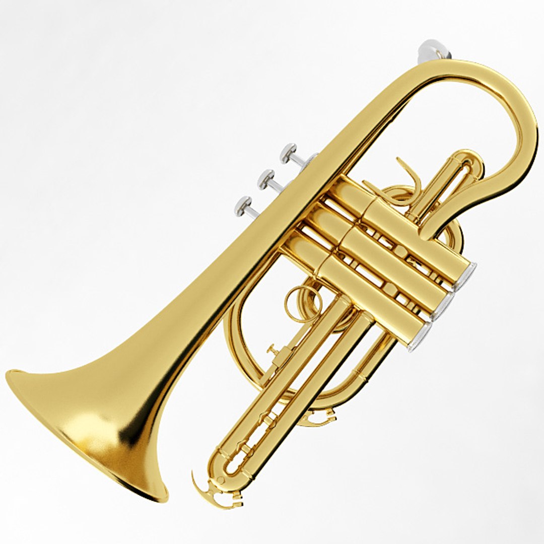 Cornet Musical Instrument 3D Model - TurboSquid 1490763
