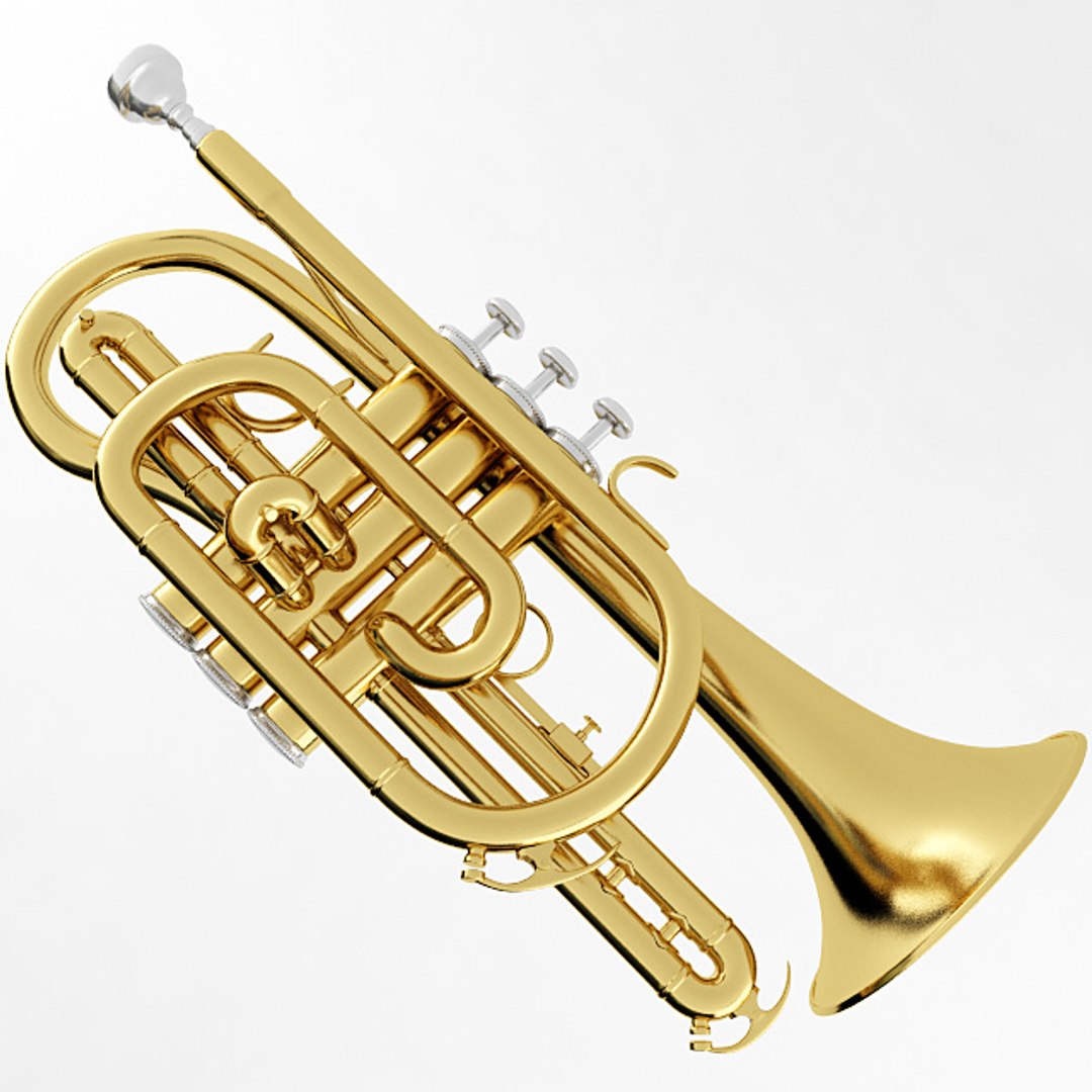 Cornet Musical Instrument 3D Model - TurboSquid 1490763