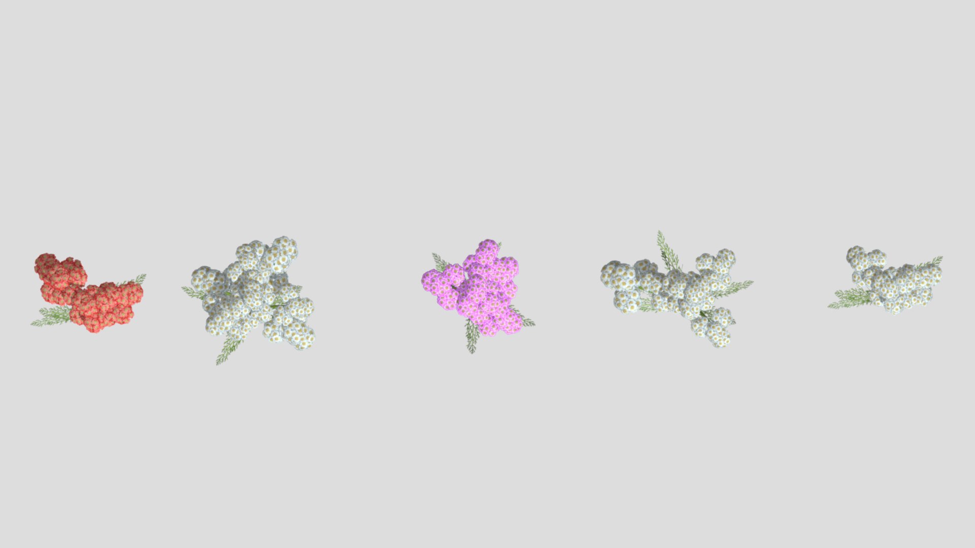 3D Yarrow Flower Low Poly Model - TurboSquid 2367647