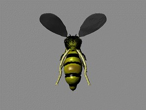 Free Insect 3D Models for Download | TurboSquid