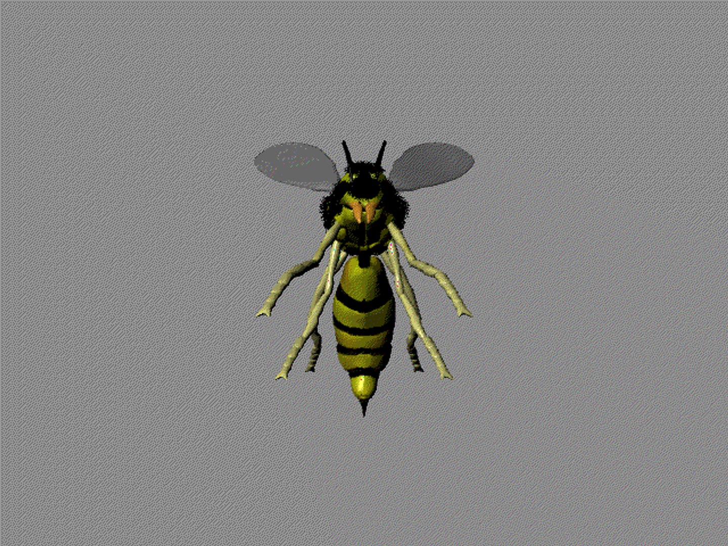 Free Wasp 3d Model