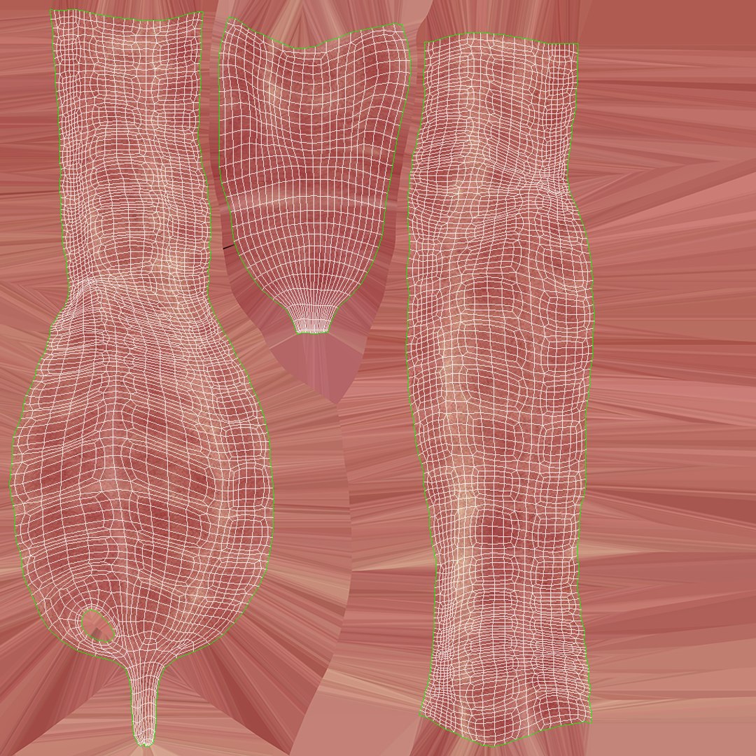3D Colon - TurboSquid 2200813