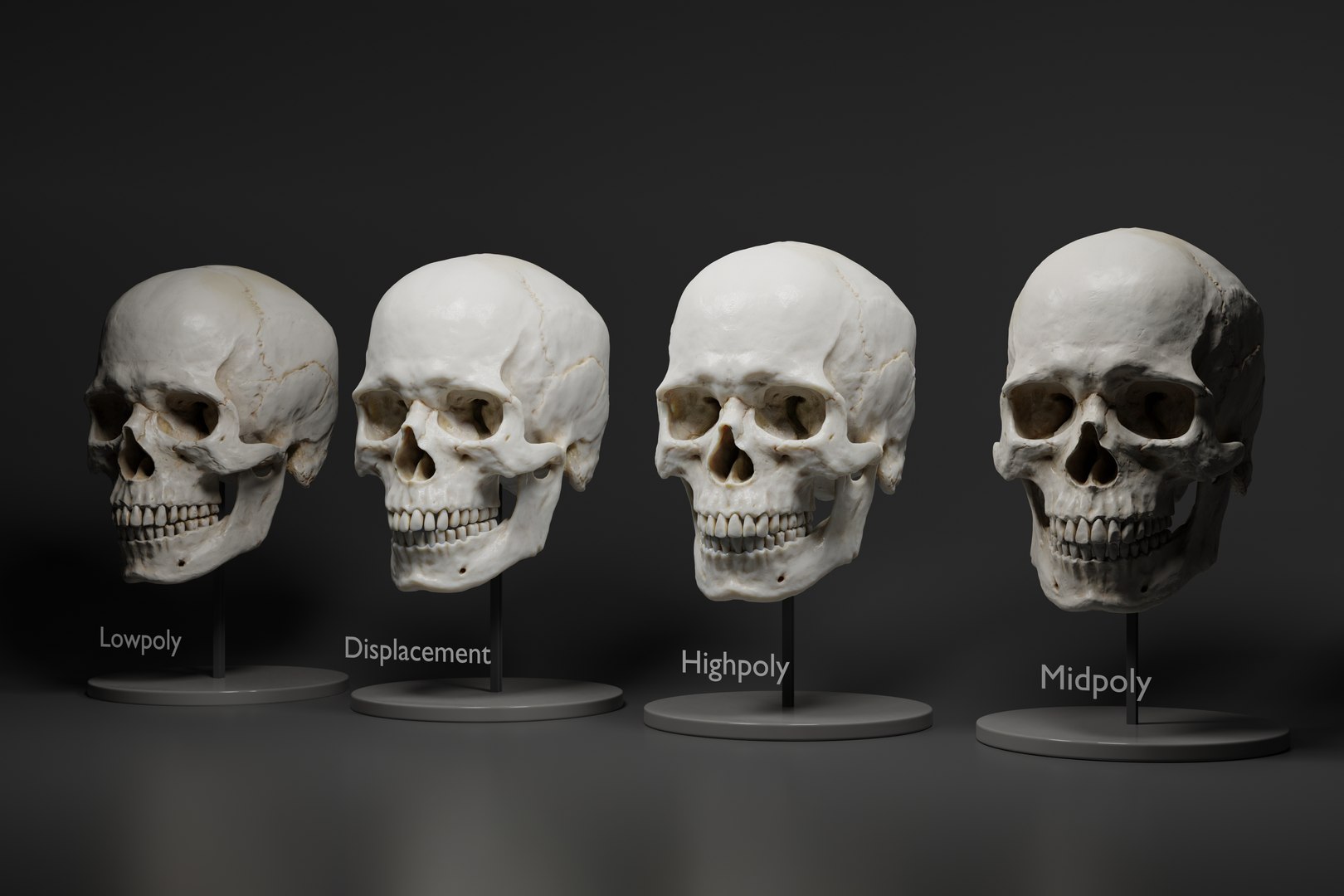 3D Realistic Human Skull Model - TurboSquid 1441169