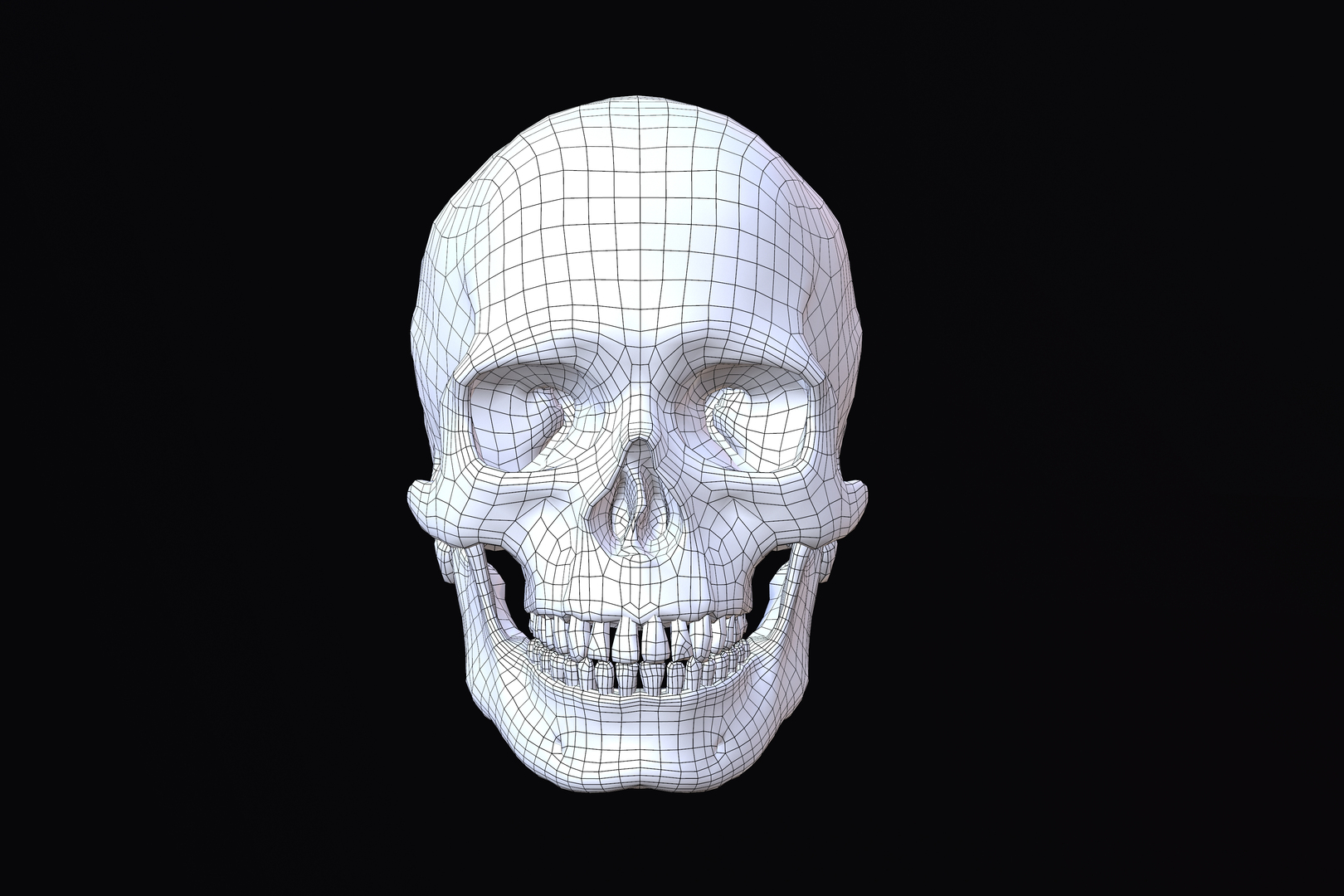 3D realistic human skull model - TurboSquid 1441169