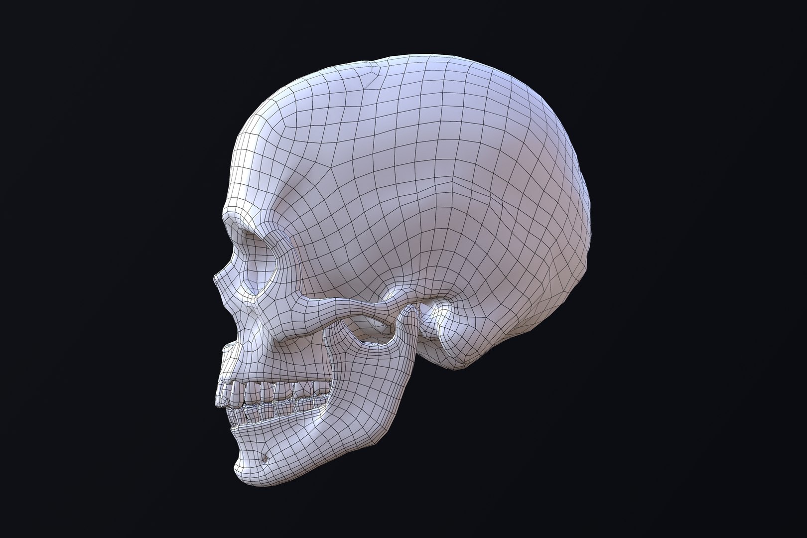 3D Realistic Human Skull Model - TurboSquid 1441169