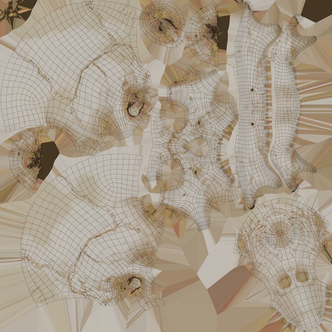 3D Realistic Human Skull Model - TurboSquid 1441169