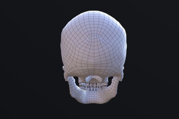 3D realistic human skull model - TurboSquid 1441169