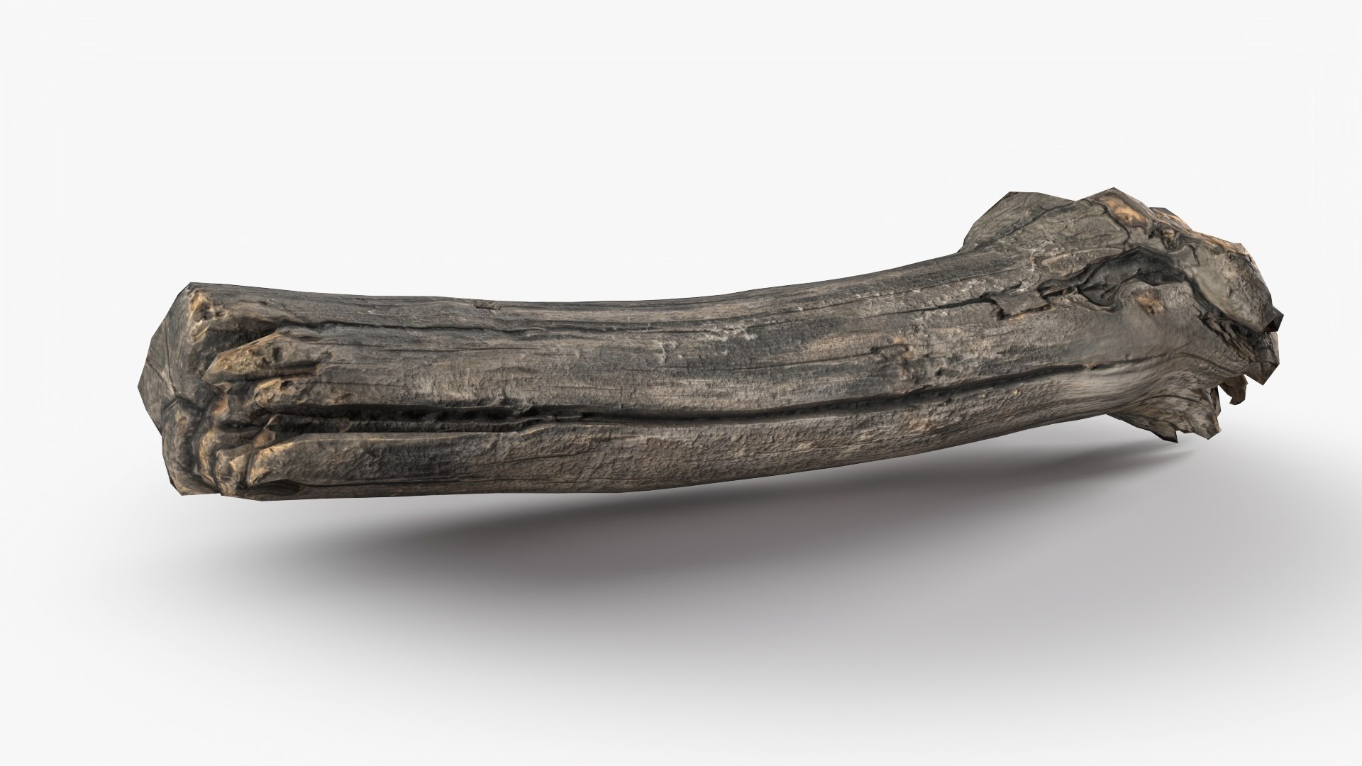 3D Branch Scanned 1 StemCell Model - TurboSquid 2280885