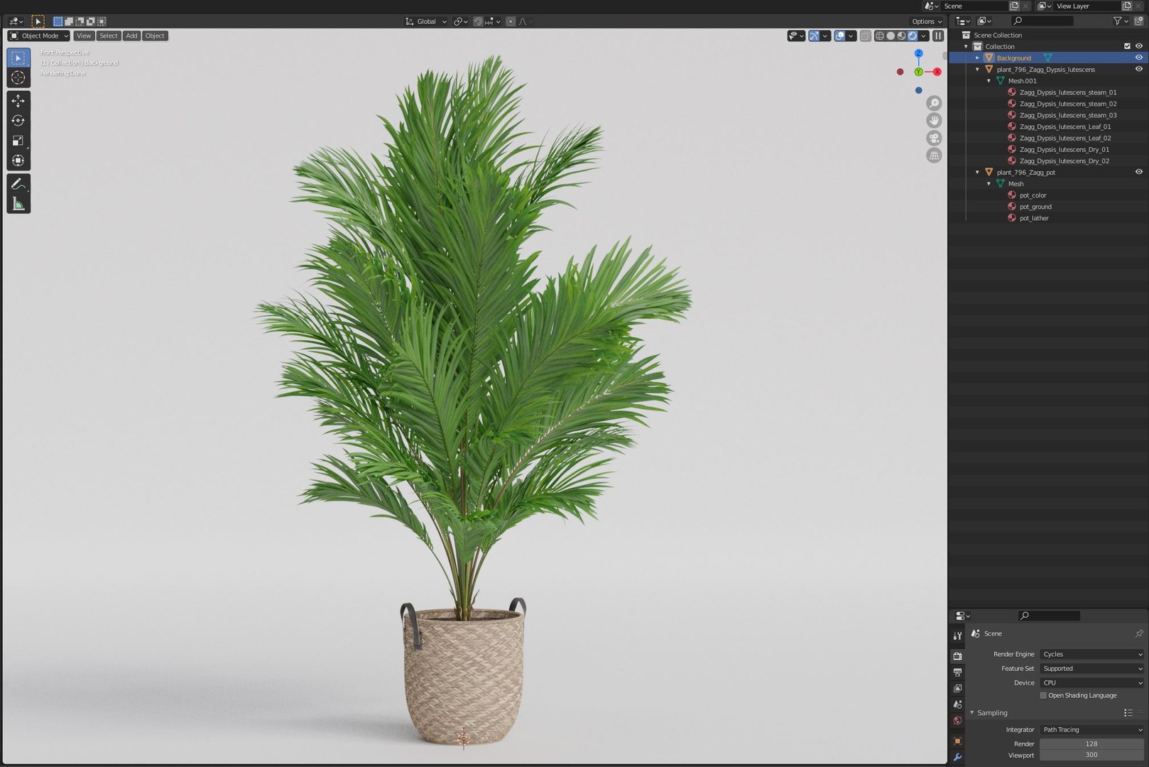 3D Model Plants Collection 796 - TurboSquid 1963614