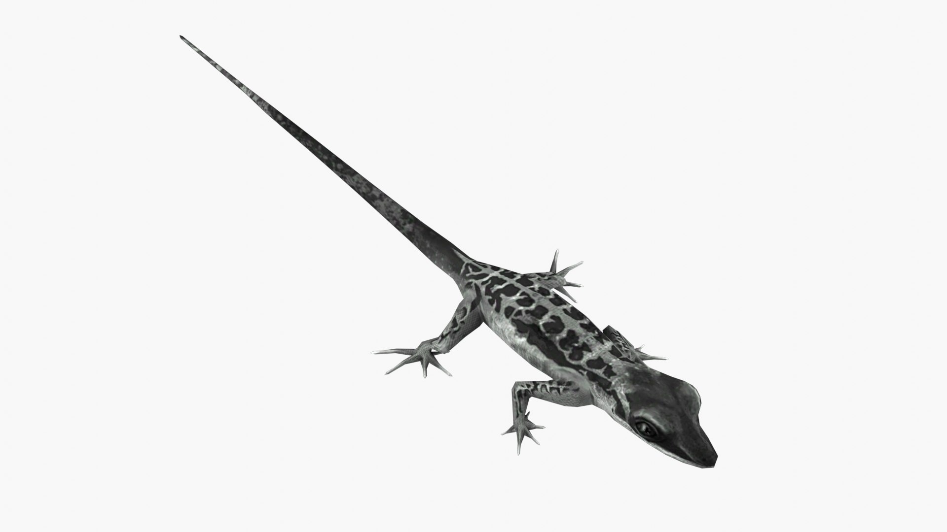 3D Model Lizard RIGGED - TurboSquid 2330323