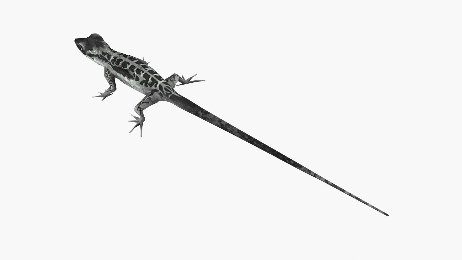3D Model Lizard RIGGED - TurboSquid 2330323