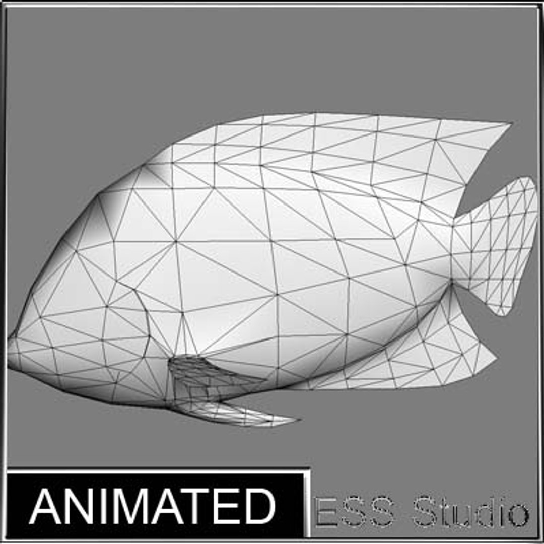 3d Model Tropical Fish