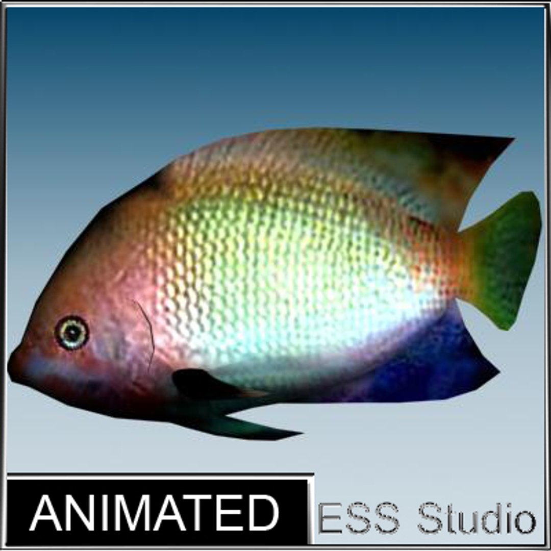3d Model Tropical Fish