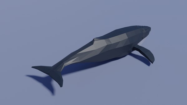 3D sea animals - TurboSquid 1660491