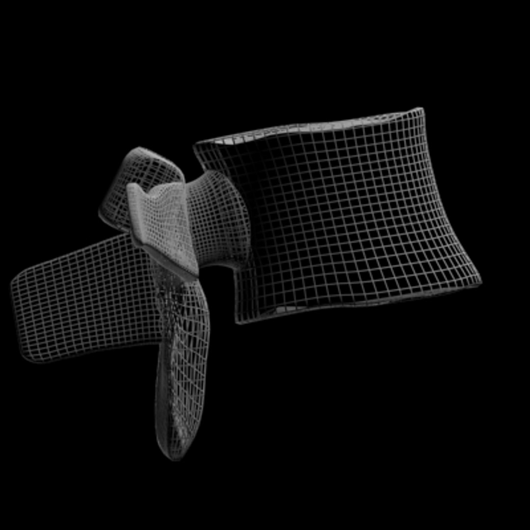 Lumber Vertabrea Human Spine Max Free