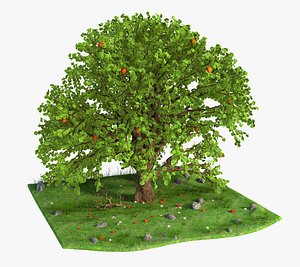 3D Apple Tree Models - Browse & Download Formats - TurboSquid