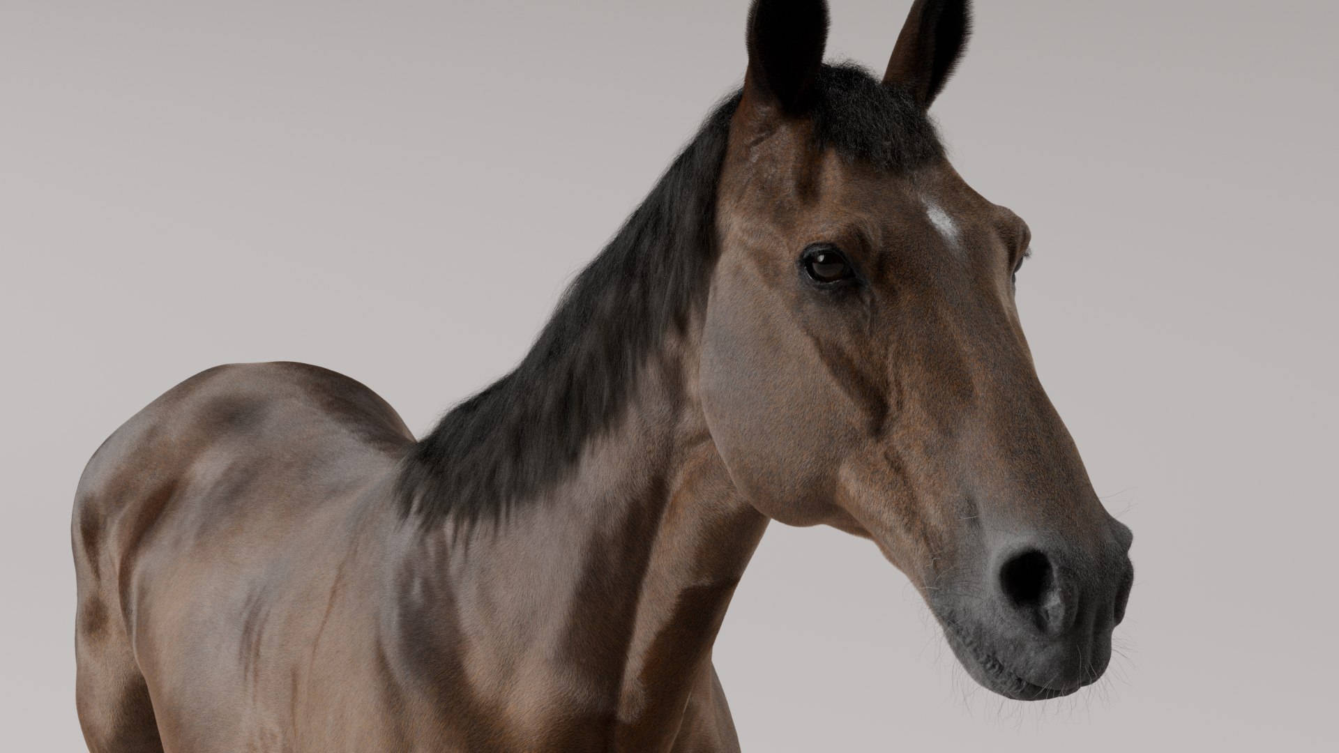 3D Model Horse Brown - TurboSquid 2200328