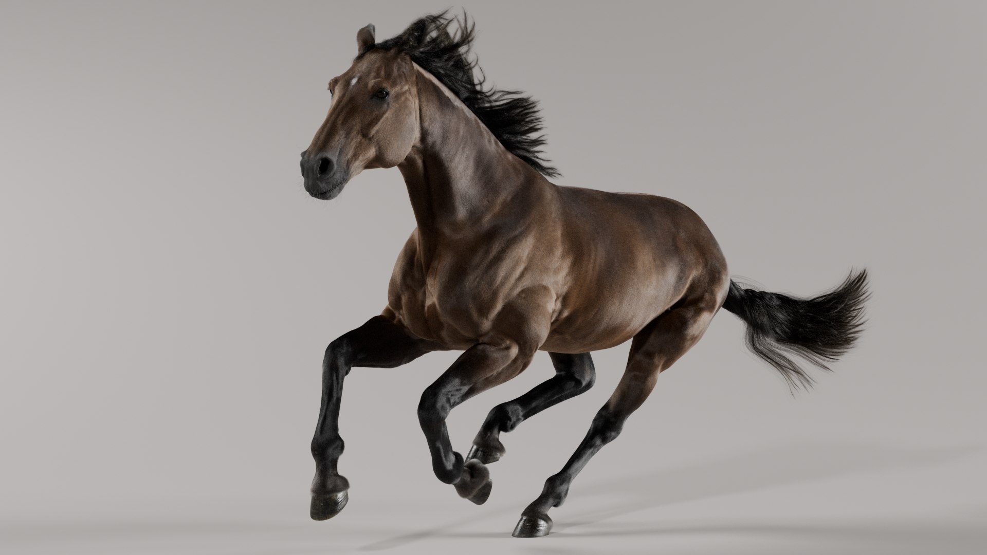 3D Model Horse Brown - TurboSquid 2200328