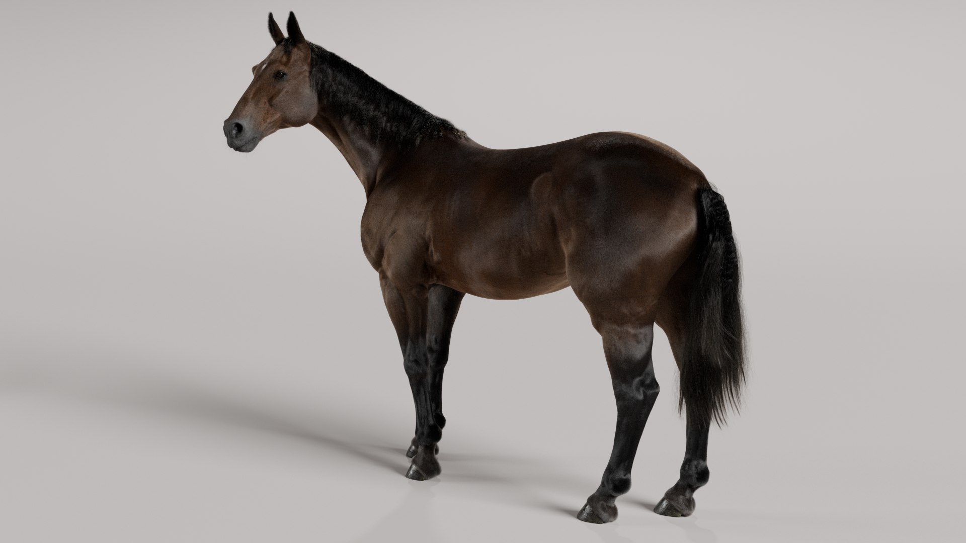 3D Model Horse Brown - TurboSquid 2200328