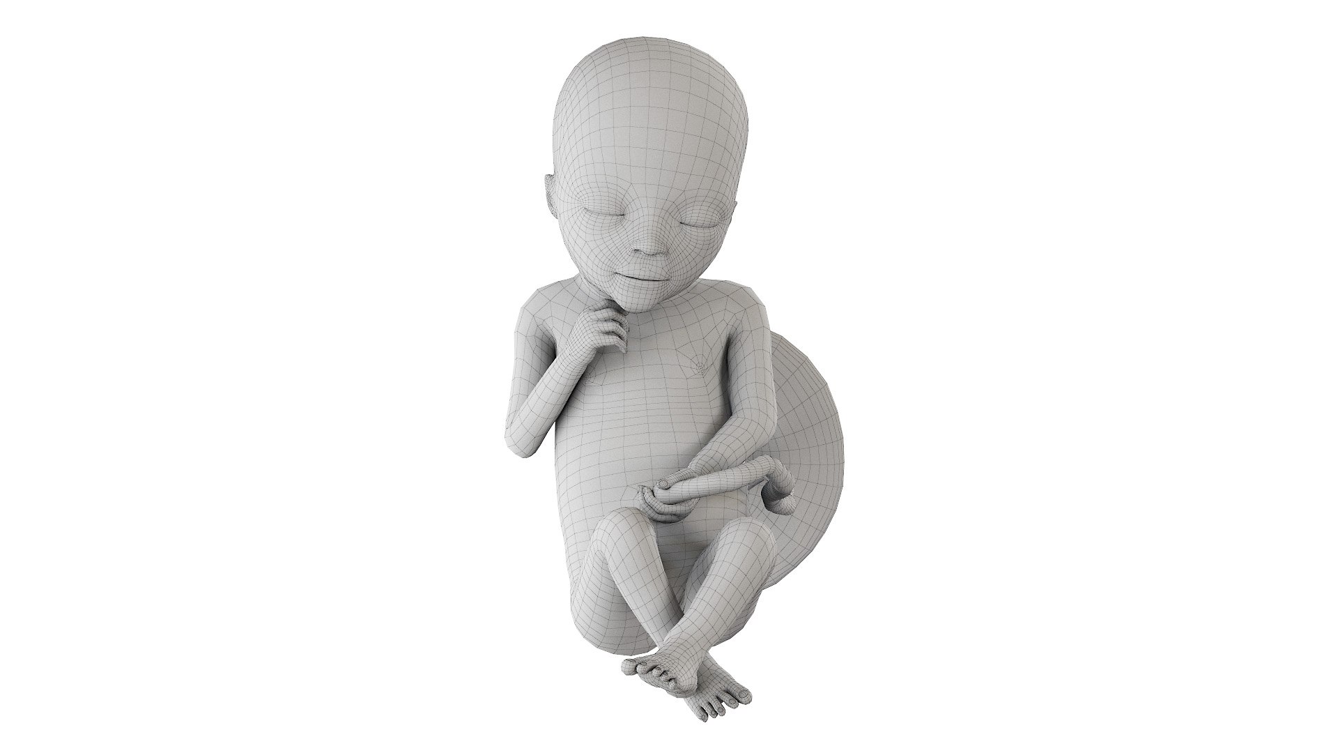 Fetus Anatomy Week 19 Animated 3D Model - TurboSquid 1811003