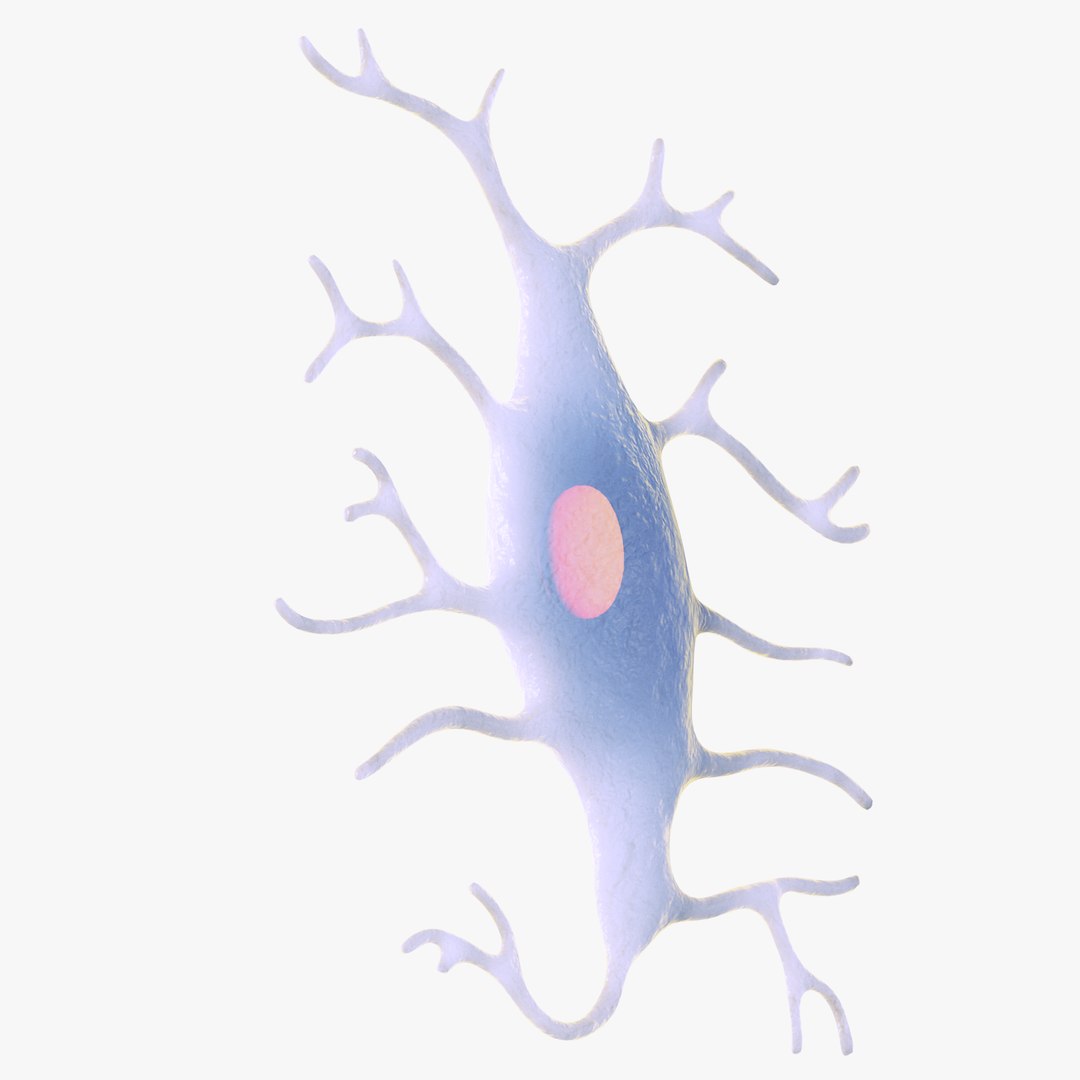 Bone Cell Osteo Cell Anatomy Pack 3D Model - TurboSquid 2082173