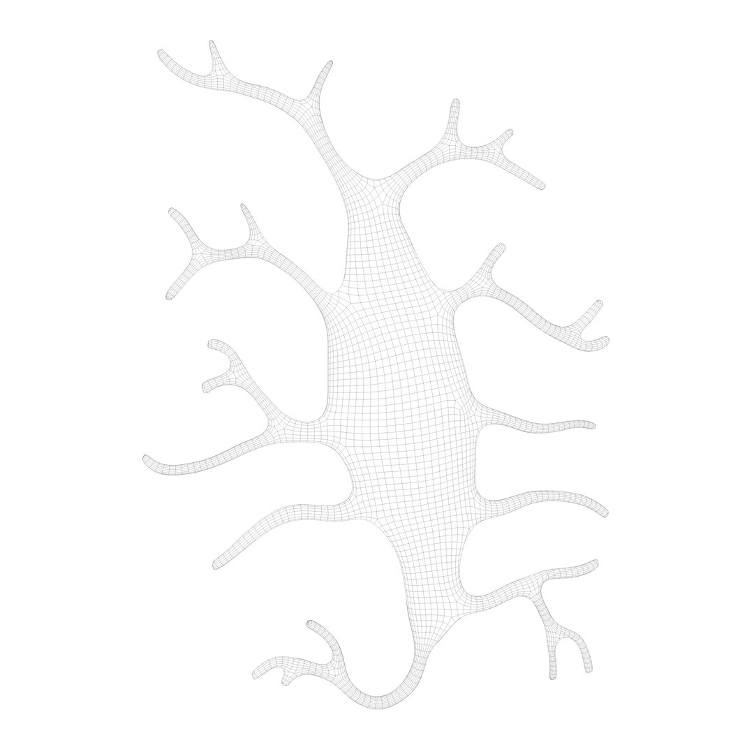 Bone Cell Osteo Cell Anatomy Pack 3D Model - TurboSquid 2082173